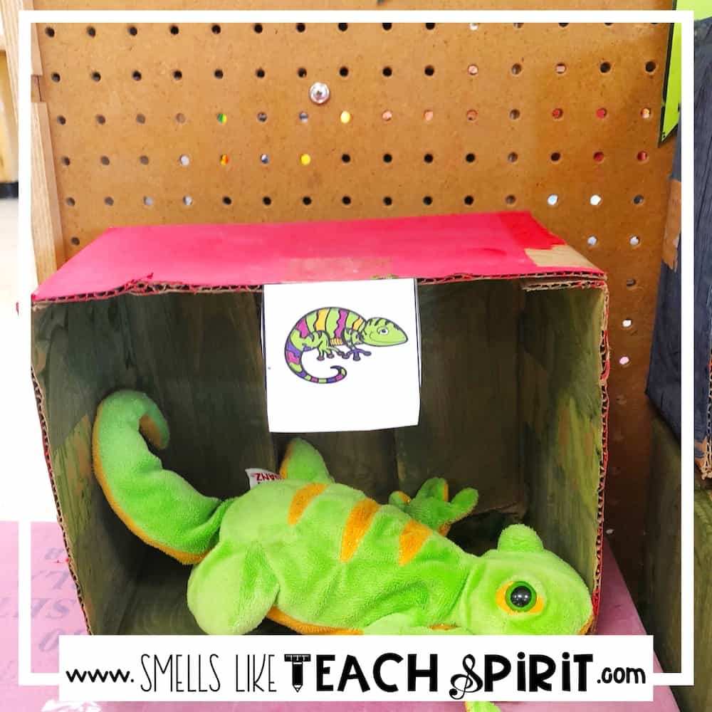 Pet Unit of Study for Preschool and Kindergarten - Smells Like Teach Spirit