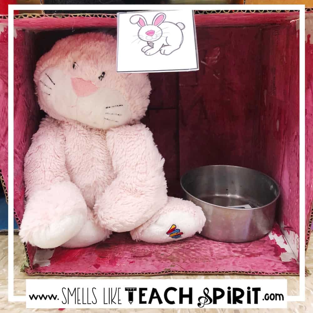 Pet Unit of Study for Preschool and Kindergarten - Smells Like Teach Spirit