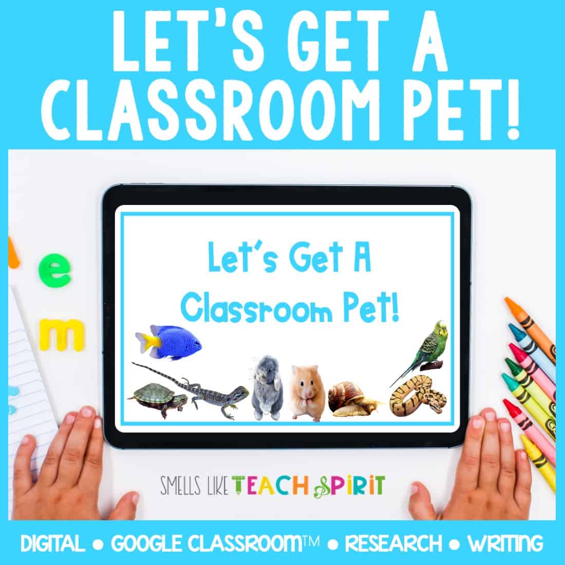 10 Books About Pets for Kids - Smells Like Teach Spirit